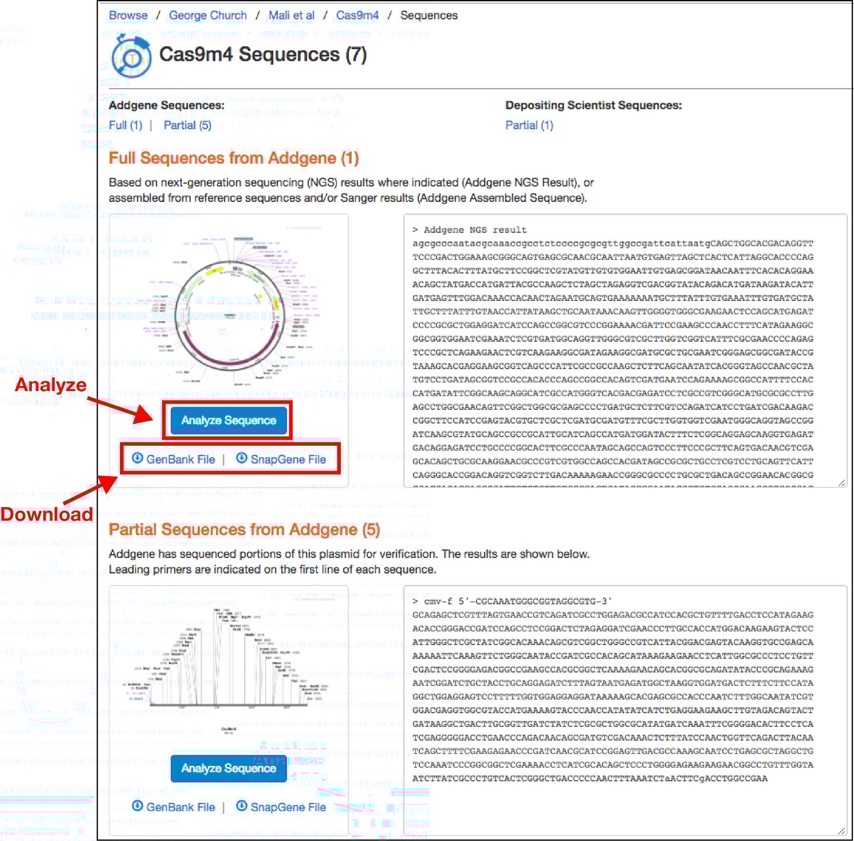 Improved Plasmid Maps Powered By Snapgene